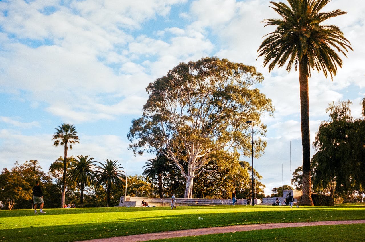 Future Trends in Tree Risk Assessment Technology in Perth - Warlingham ...
